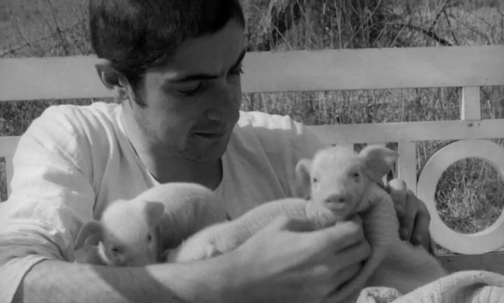 VASE DE NOCES | Austin Film Society